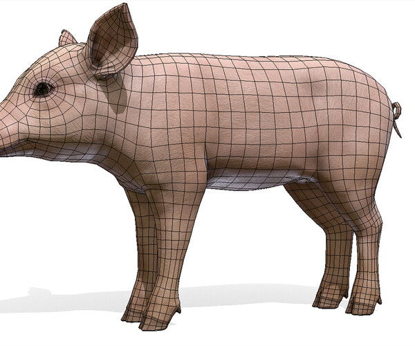 ArtStation - Piggy | Game Assets