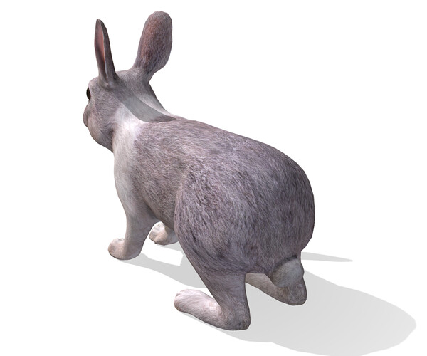 ArtStation - Rabbit | Game Assets