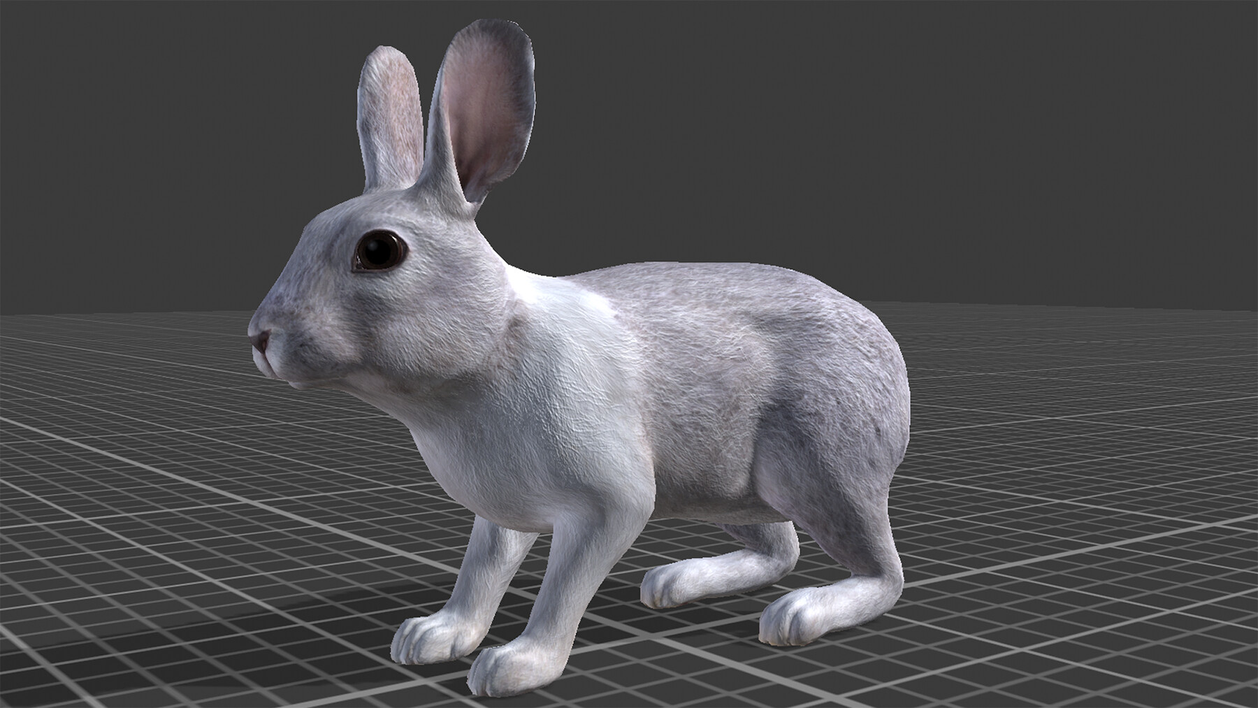 ArtStation - Rabbit | Game Assets