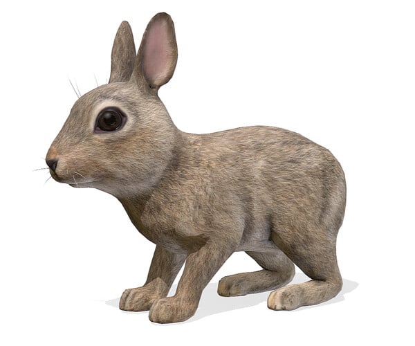 ArtStation - Bunny | Game Assets