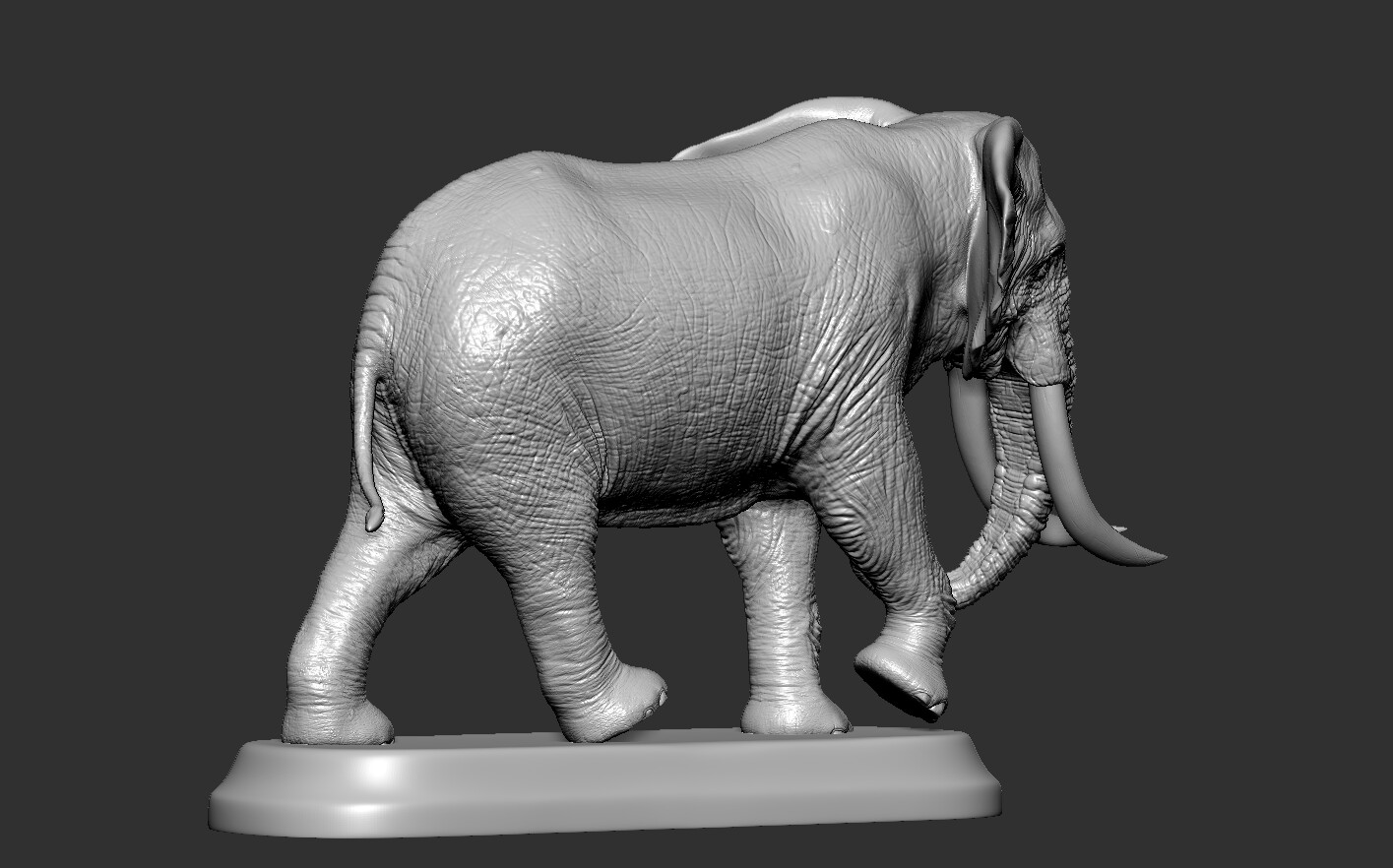 ArtStation - Elephant | Resources