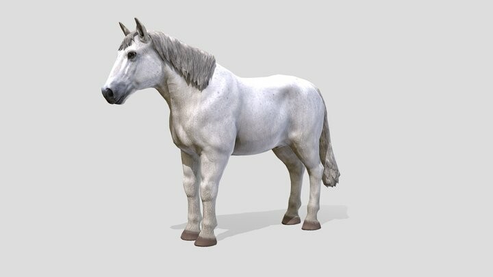 ArtStation - Horse Stallion | Game Assets