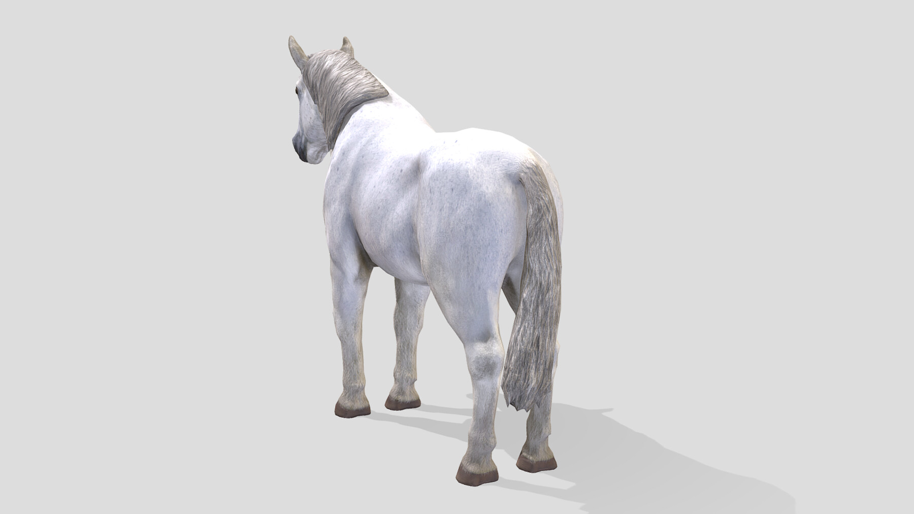 ArtStation - Horse Stallion | Game Assets