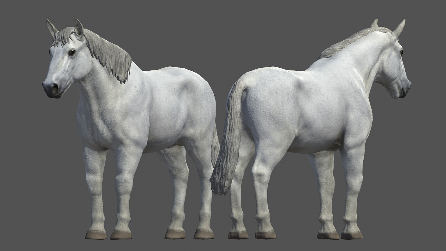 ArtStation - Horse Stallion | Game Assets