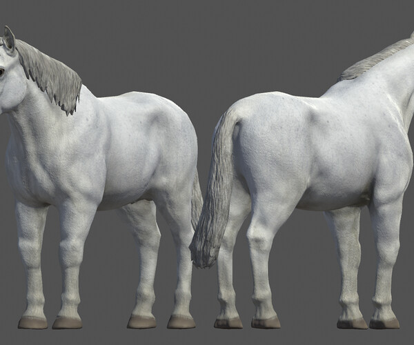 ArtStation - Horse Stallion | Game Assets