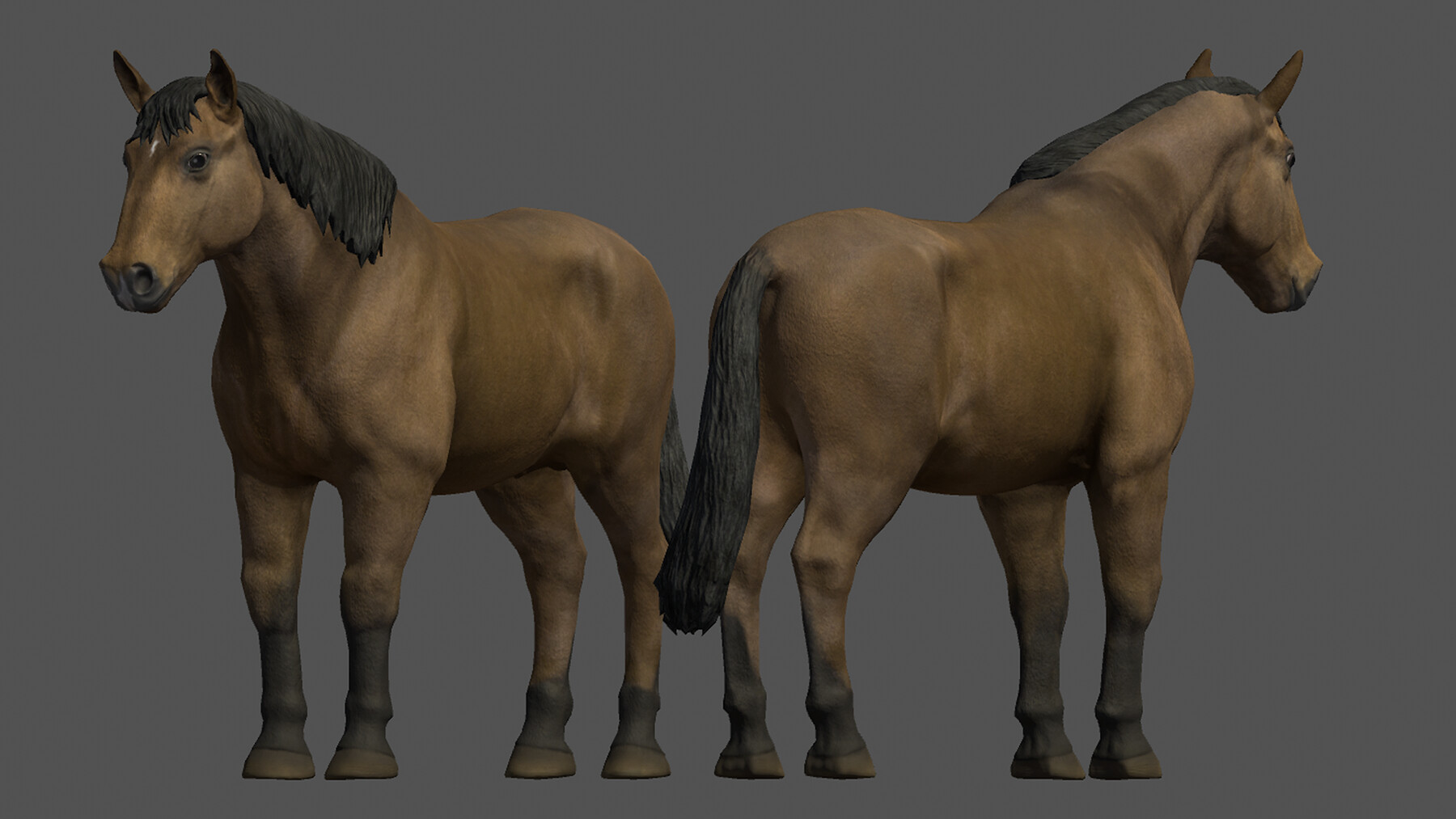 ArtStation - Horse Stallion | Game Assets