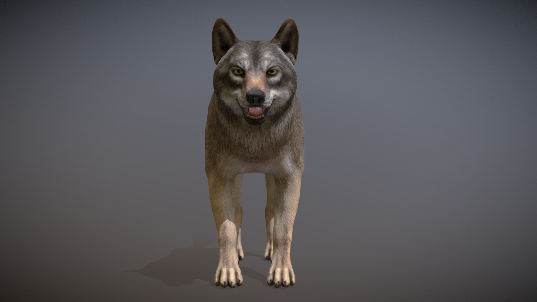 ArtStation - Wolf | Game Assets