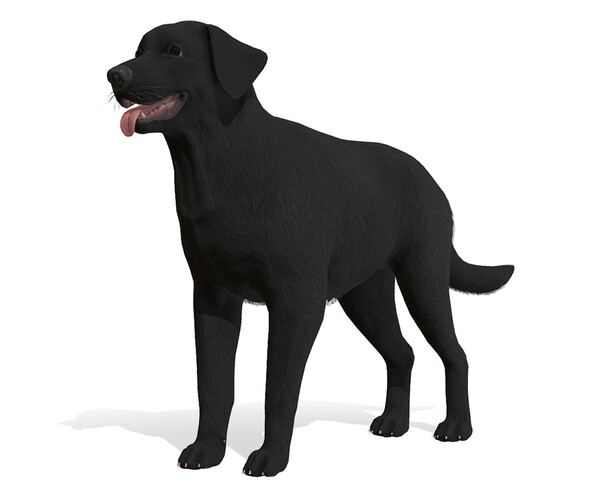 ArtStation - Dog - Labrador | Game Assets