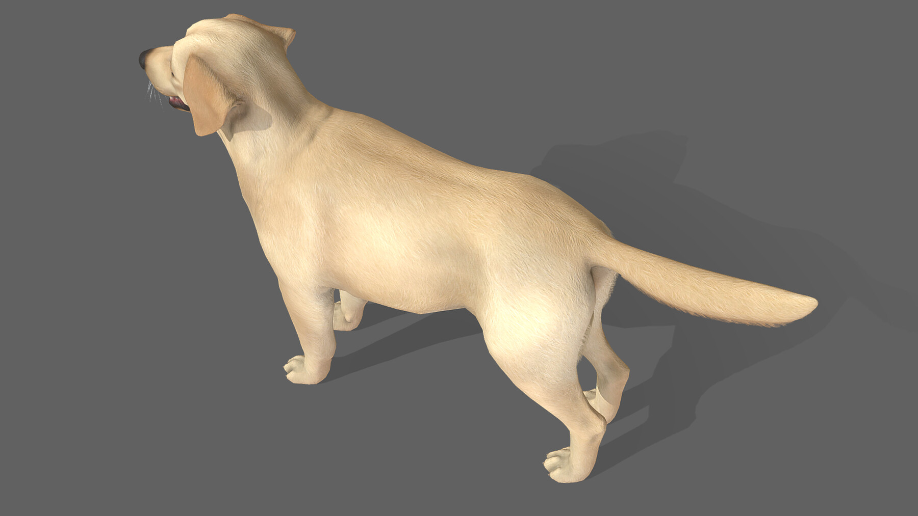 ArtStation - Dog - Labrador | Game Assets