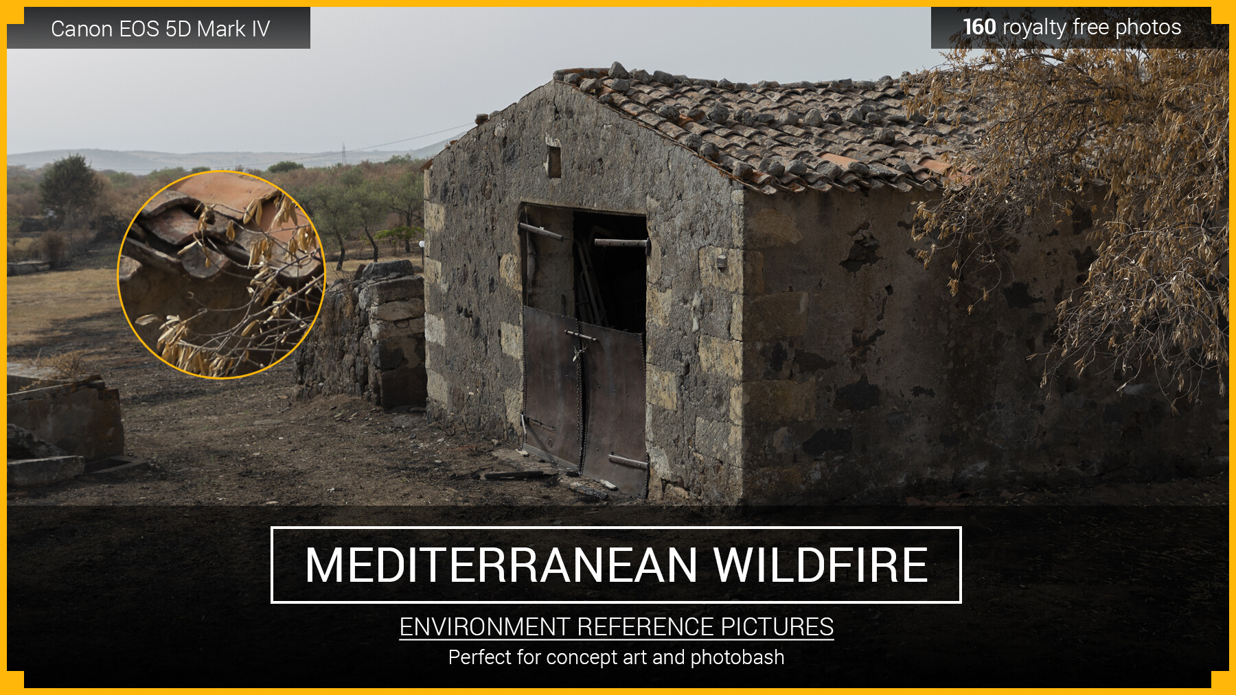 ArtStation - Mediterranean wildfire ( Burnt olive trees, bushes, grass ...