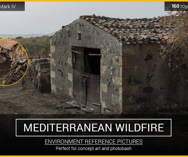ArtStation - Mediterranean wildfire ( Burnt olive trees, bushes, grass, black earth, fire, ash ...