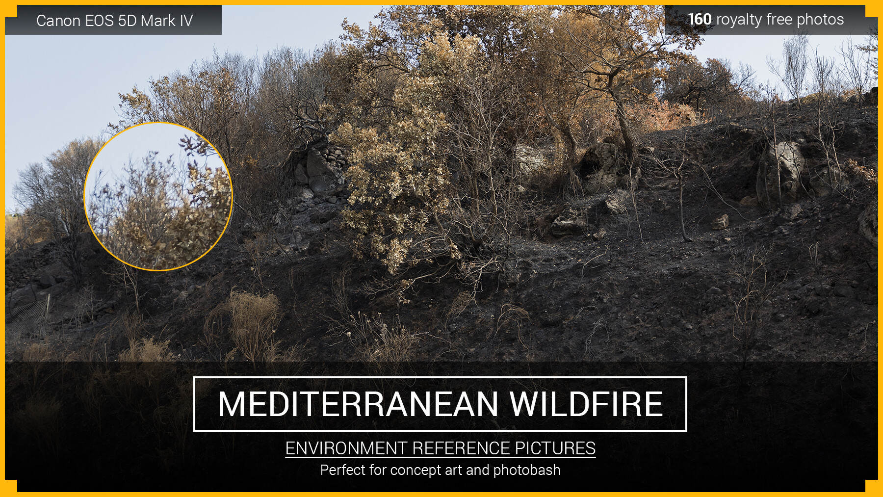 ArtStation - Mediterranean wildfire ( Burnt olive trees, bushes, grass, black earth, fire, ash ...