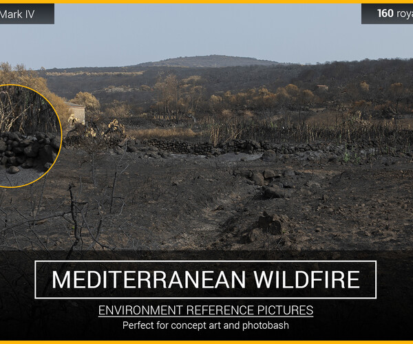 ArtStation - Mediterranean wildfire ( Burnt olive trees, bushes, grass ...