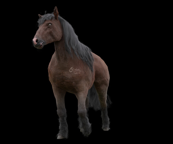 ArtStation - Draft horse, groomed + HQ Sculpt, Blender-only file | Game ...