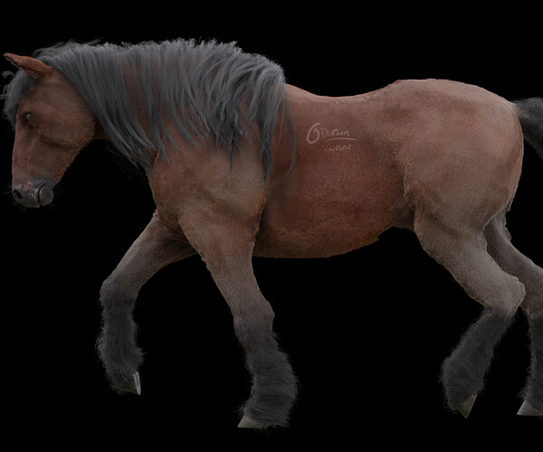 ArtStation - Draft horse, groomed + HQ Sculpt, Blender-only file | Game ...