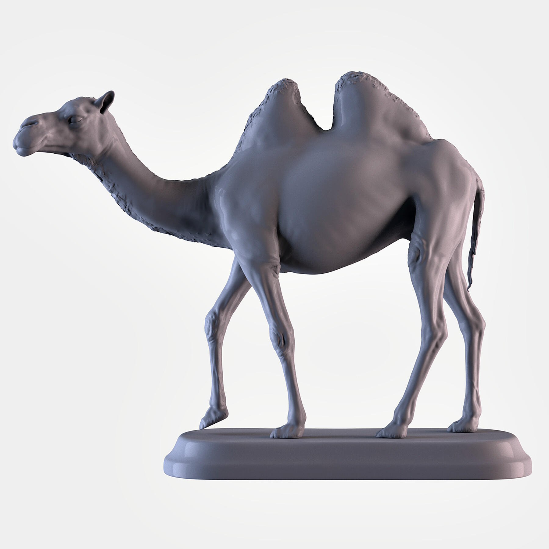 ArtStation - Camel | Resources