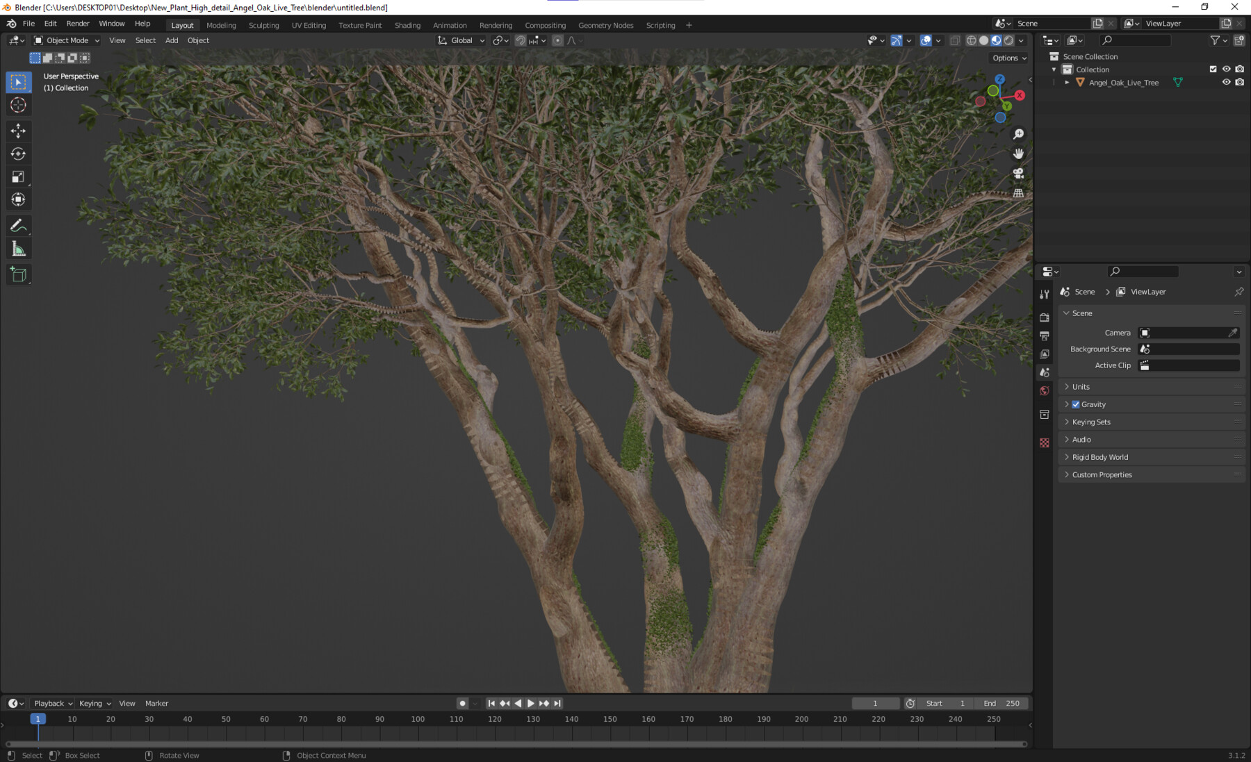 ArtStation - New Plant High detail Angel Oak Live Tree | Resources