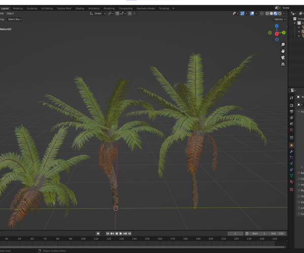 ArtStation - Brainea Insignis Fern Medium | Resources