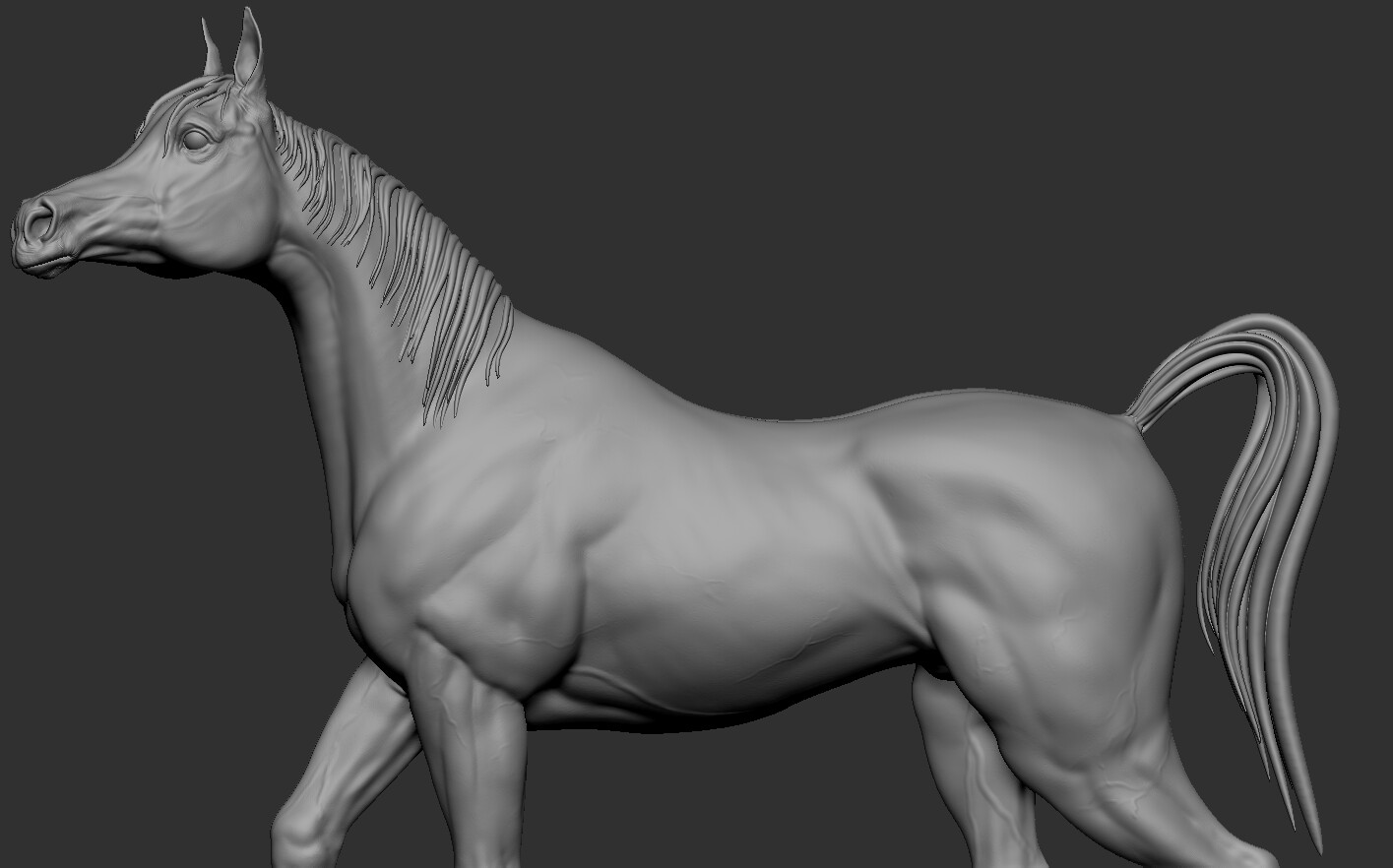 ArtStation - Arabian Horse | Resources