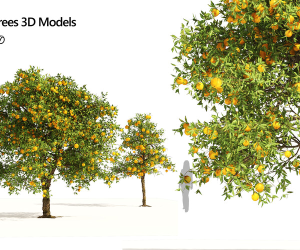 ArtStation - 3 Orange fruit trees | Resources