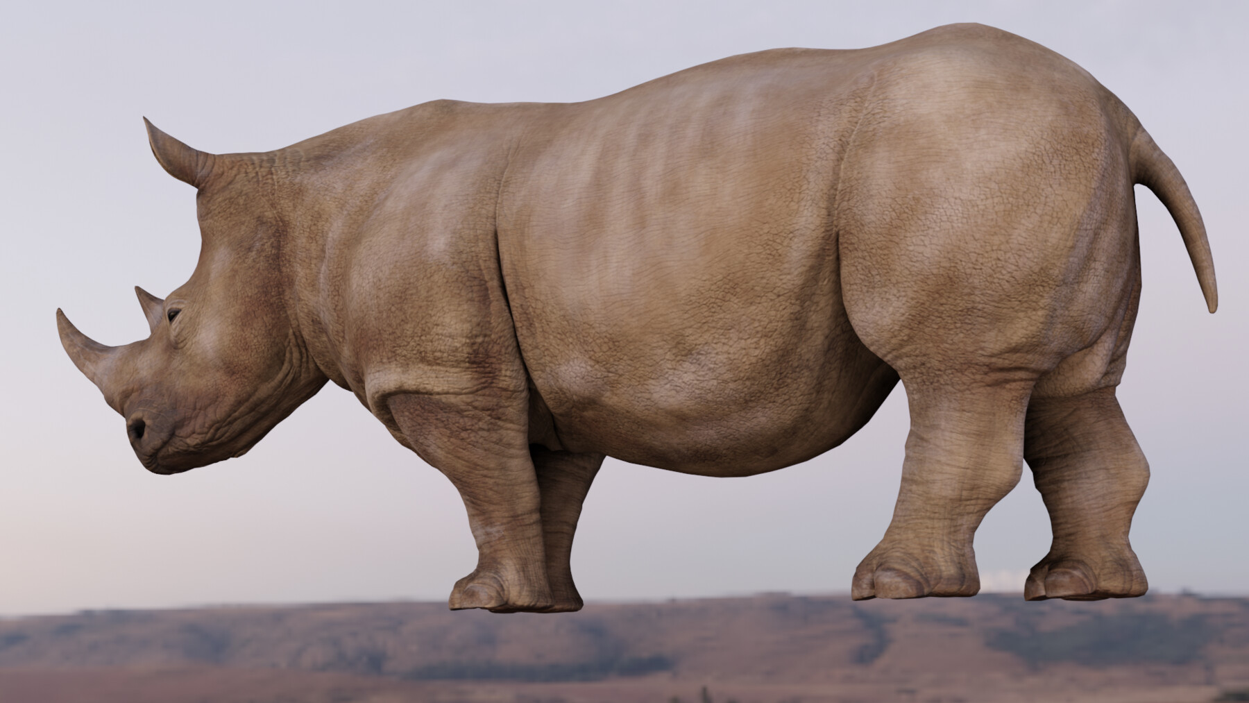 ArtStation - ANIMATED RHINOCEROS LOW POLY | Game Assets
