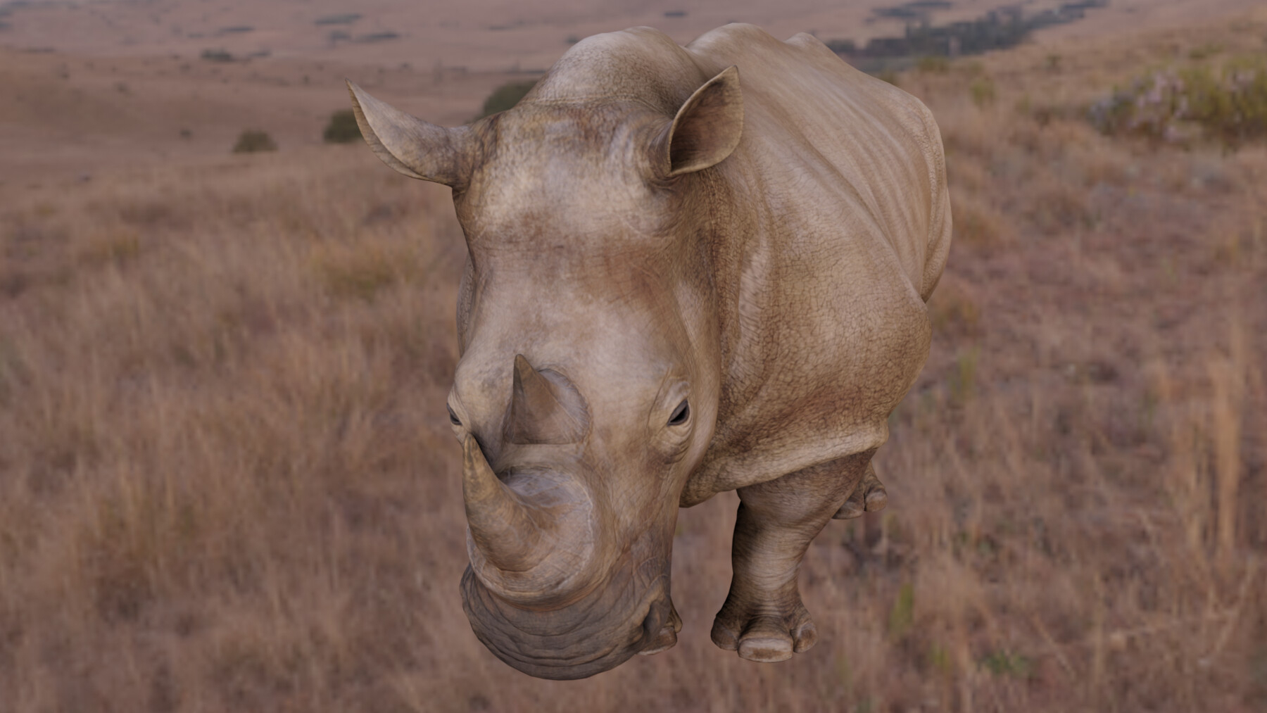 ArtStation - ANIMATED RHINOCEROS LOW POLY | Game Assets