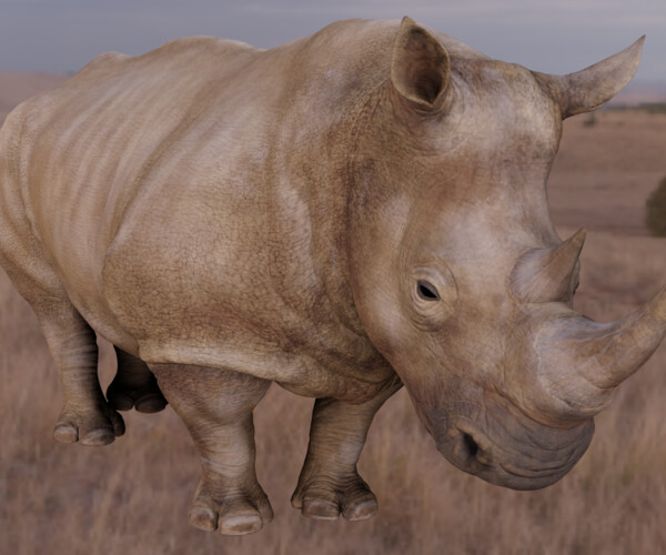 ArtStation - ANIMATED RHINOCEROS LOW POLY | Game Assets