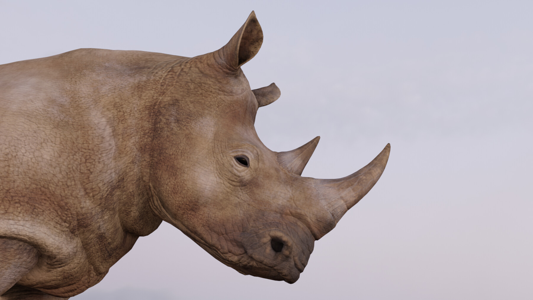 ArtStation - ANIMATED RHINOCEROS LOW POLY | Game Assets