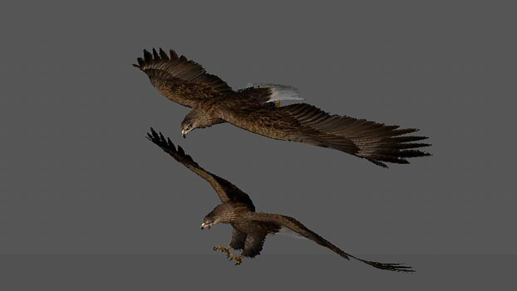 ArtStation - Eagle animation | Game Assets