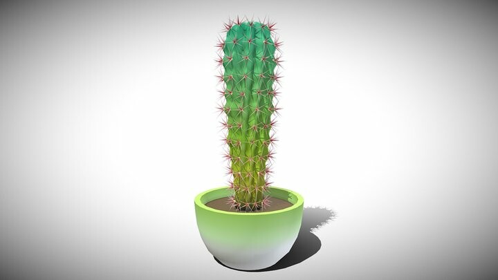 ArtStation - Cactus Plant | Game Assets