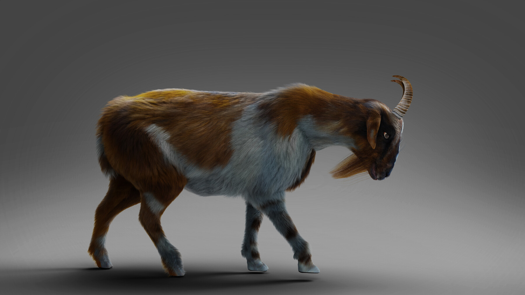 ArtStation - Fur Goat 01 Rigged in Blender | Game Assets