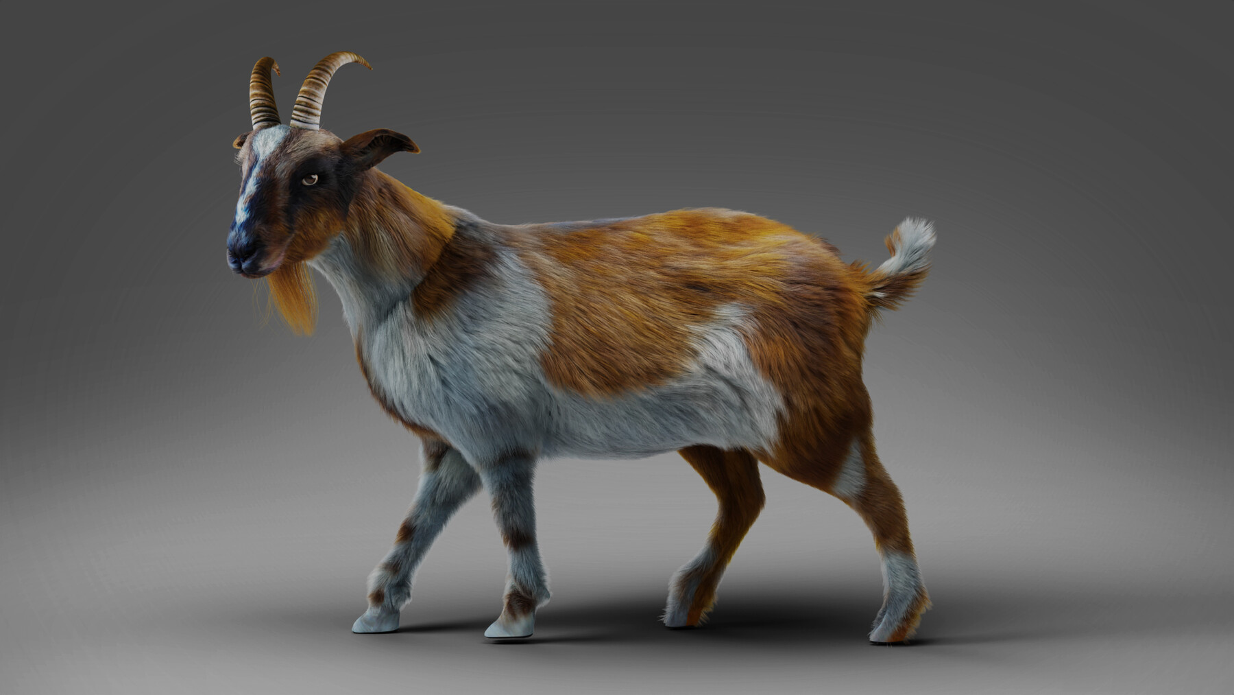 ArtStation - Fur Goat 01 Rigged in Blender | Game Assets