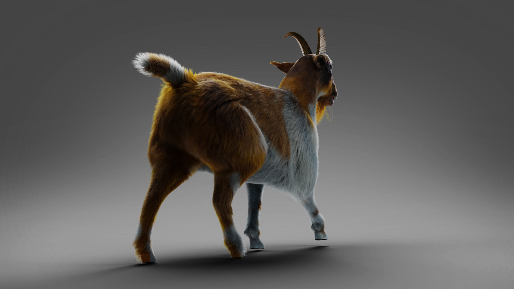 ArtStation - Fur Goat 01 Rigged in Blender | Game Assets