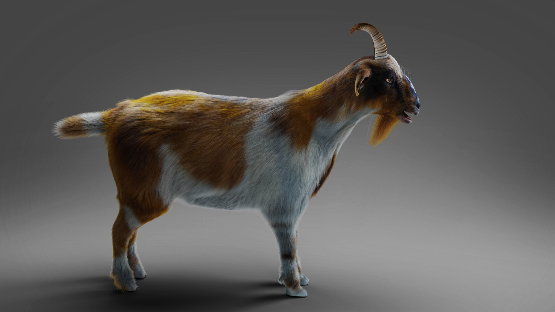 ArtStation - Fur Goat 01 Rigged in Blender | Game Assets