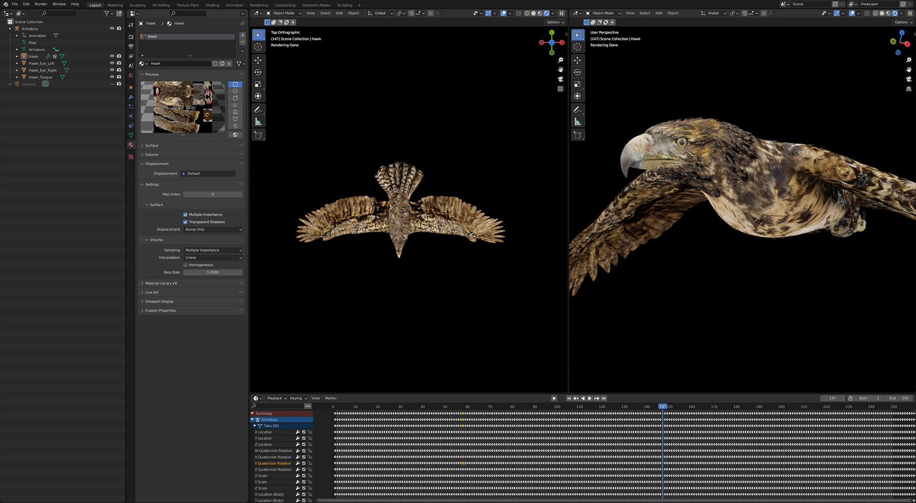 ArtStation - Animated Hawk | Resources