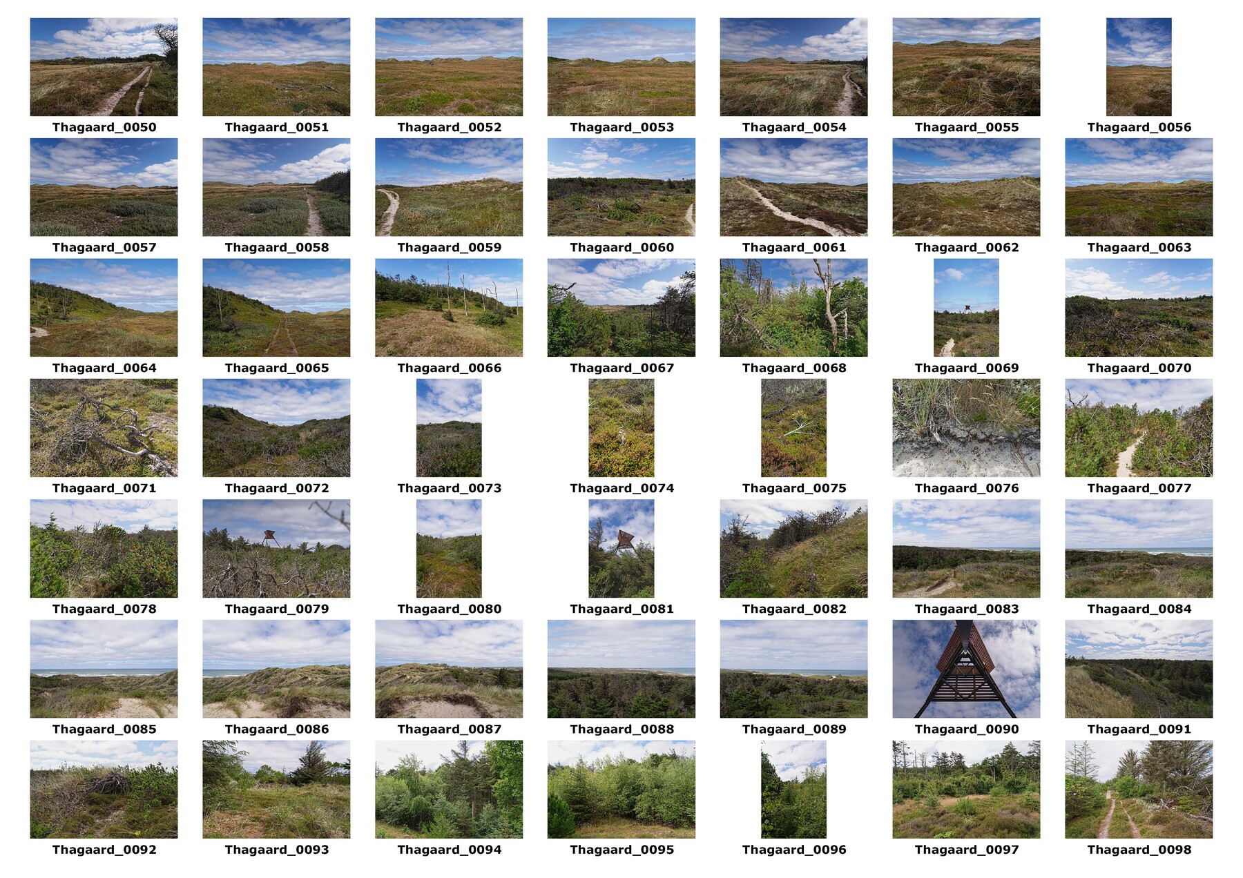 ArtStation - THY VOL.5 - THAGAARD PLANTATION / Photo Reference / 170 images | Resources