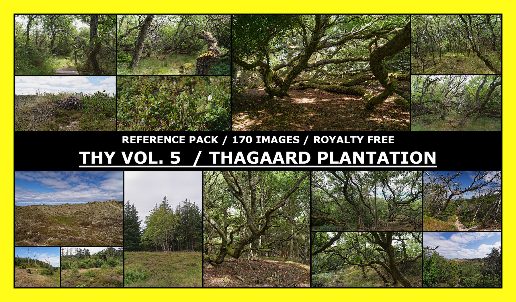 ArtStation - THY VOL.5 - THAGAARD PLANTATION / Photo Reference / 170 images | Resources