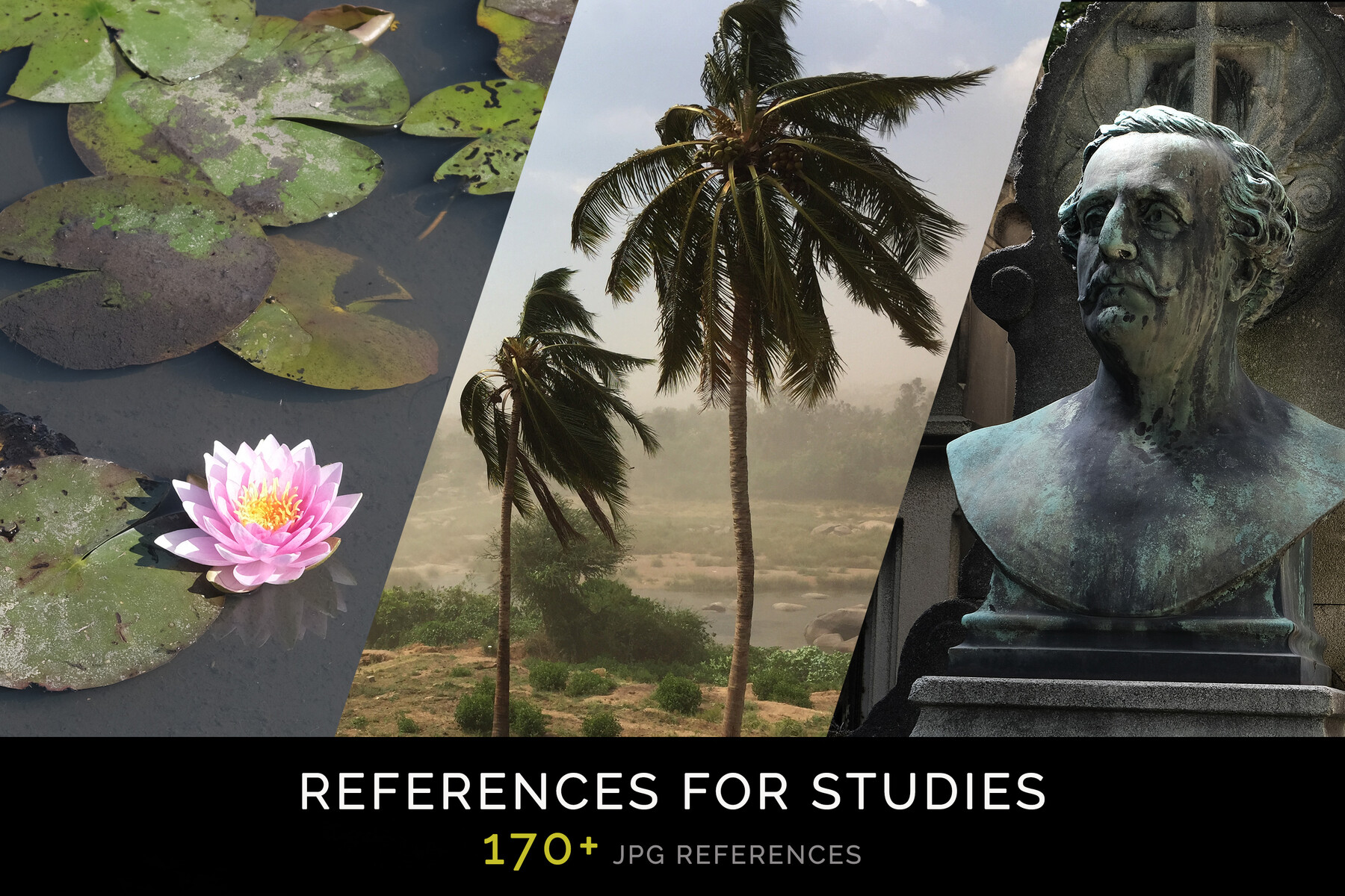 ArtStation - References for Studies | Resources