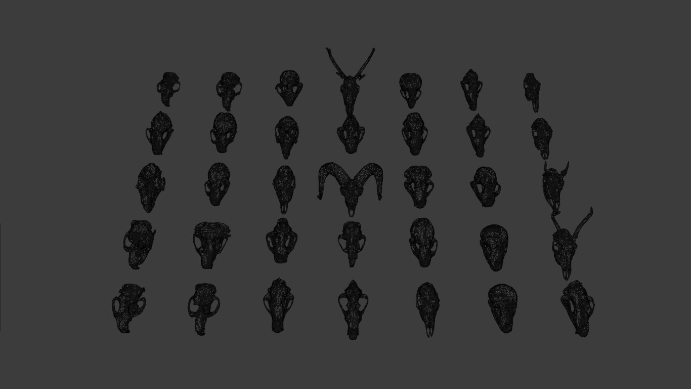 ArtStation - 35 IN 1 ANIMALS SKULL GAME READY | Game Assets
