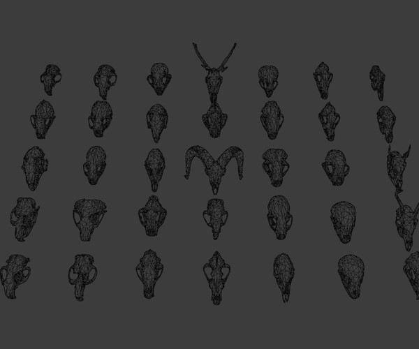 ArtStation - 35 IN 1 ANIMALS SKULL GAME READY | Game Assets