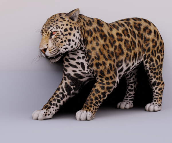 ArtStation - ANIMATED JAGUAR ANIMAL LOW POLY | Game Assets