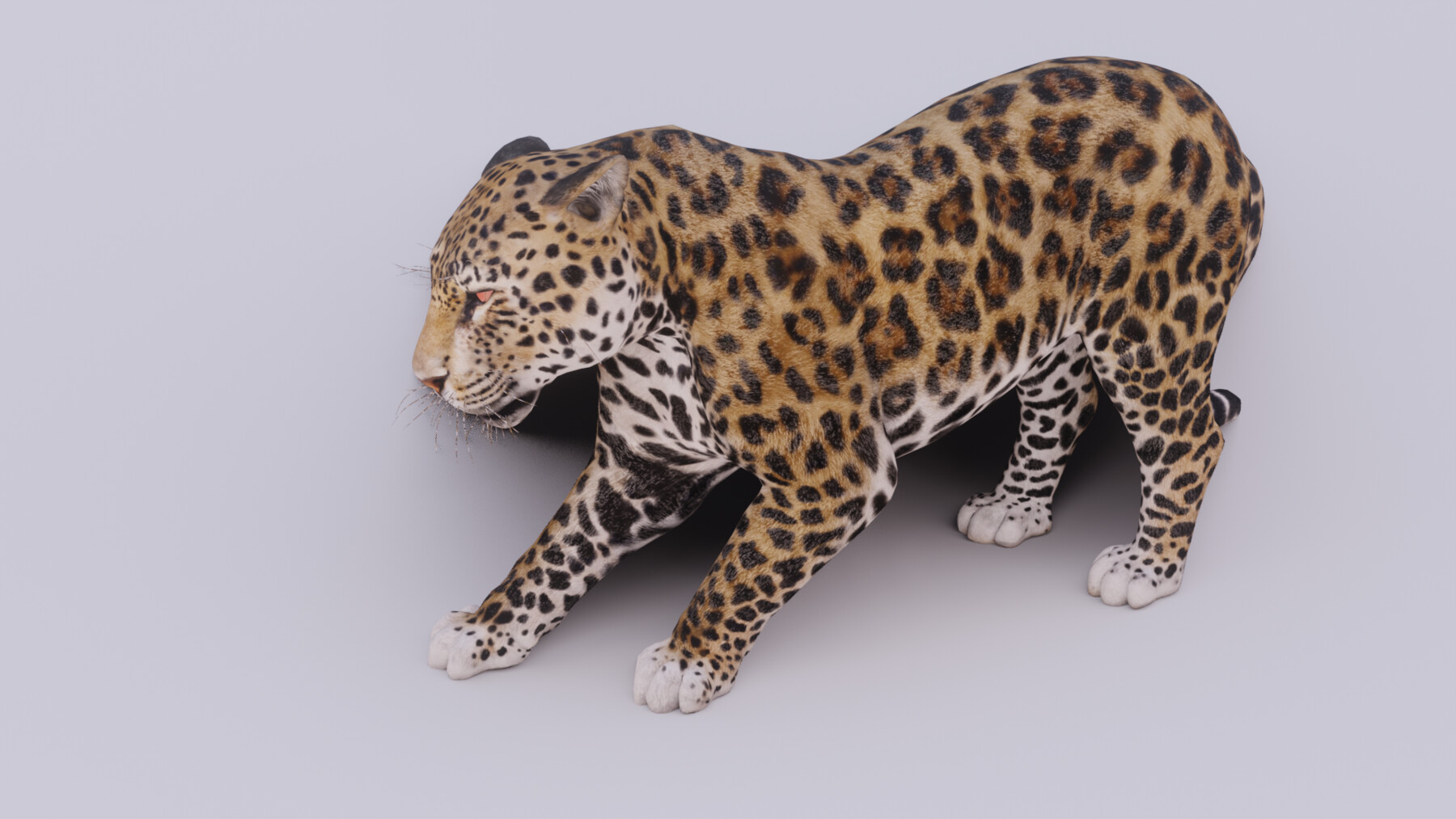 ArtStation - ANIMATED JAGUAR ANIMAL LOW POLY | Game Assets