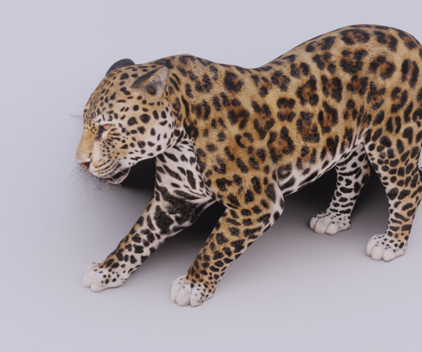 ArtStation - ANIMATED JAGUAR ANIMAL LOW POLY | Game Assets