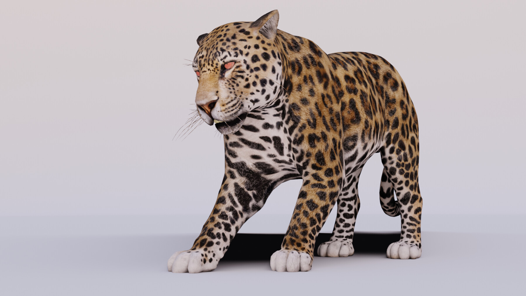 ArtStation - ANIMATED JAGUAR ANIMAL LOW POLY | Game Assets