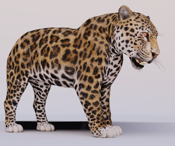 ArtStation - ANIMATED JAGUAR ANIMAL LOW POLY | Game Assets