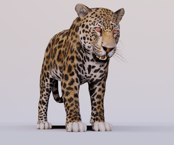 ArtStation - ANIMATED JAGUAR ANIMAL LOW POLY | Game Assets