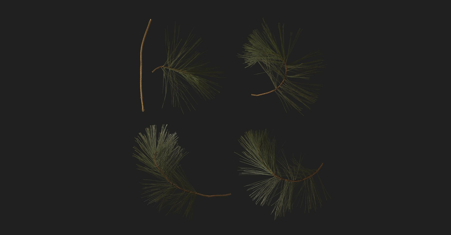 ArtStation - Conifer Leaves | Resources