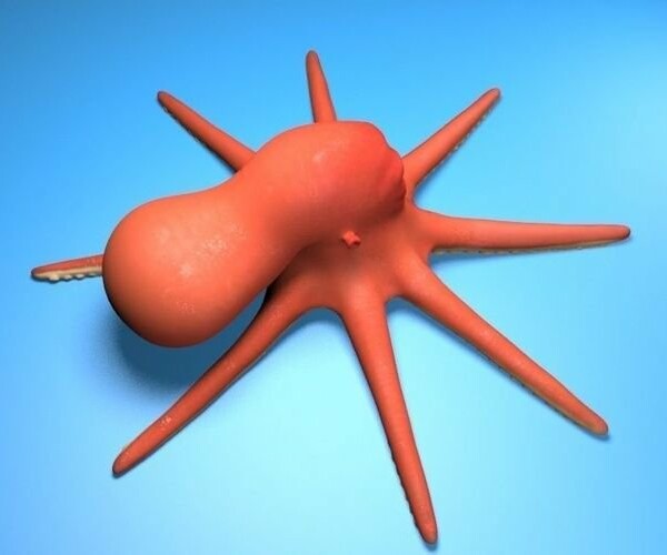 ArtStation - cartoon octopus | Resources