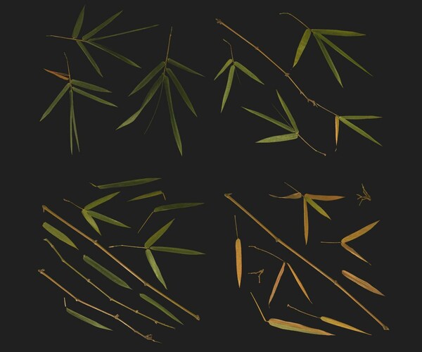 ArtStation - Bamboo Leaves | Resources