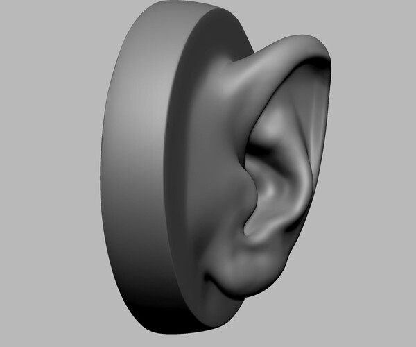 ArtStation - Ear Model A | Resources